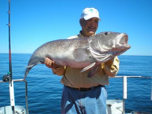 Pesca Deportiva | Mar del Plata