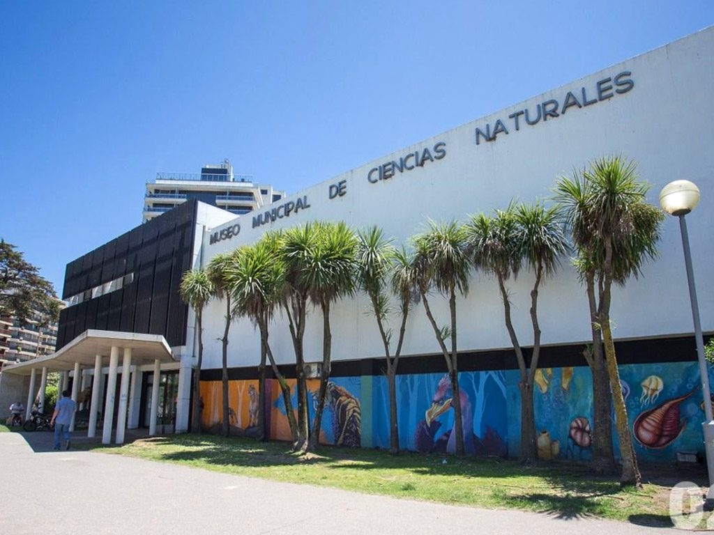 Museo Municipal de Ciencias Naturales "Lorenzo Scaglia" | Mar del Plata