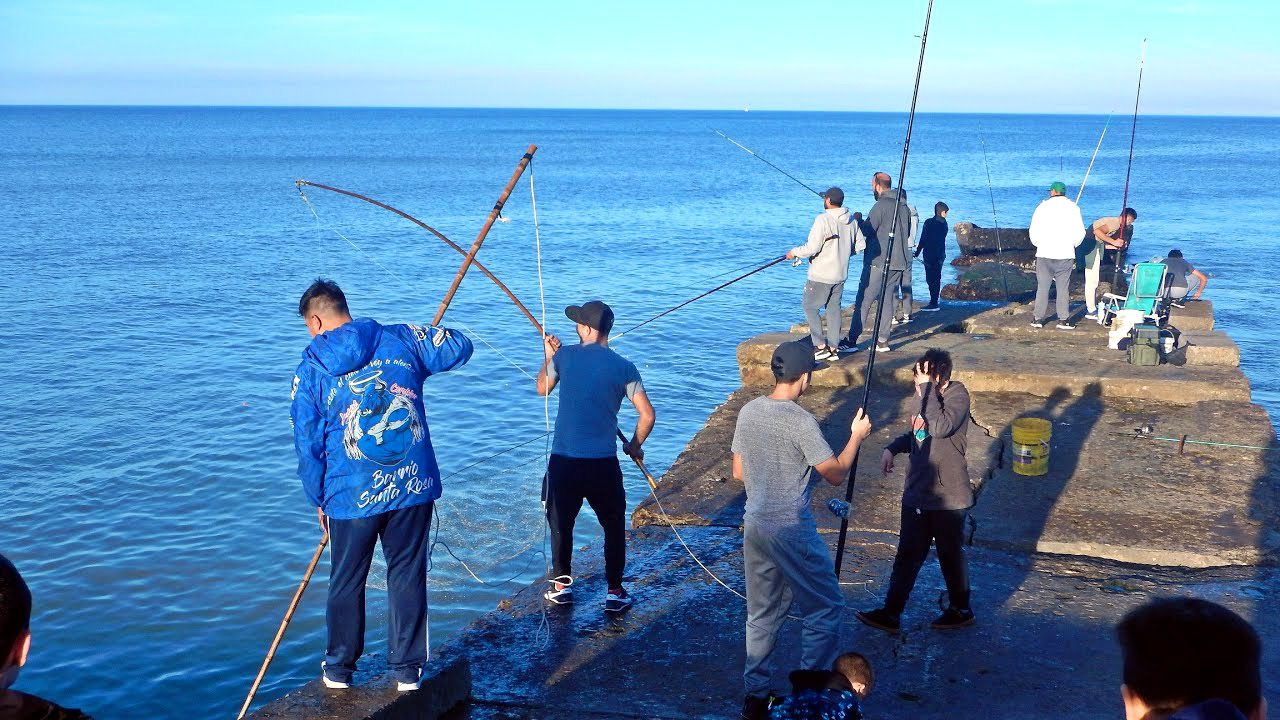 Pesca desde la costa - Mar del Plata | Alojamientos, Hoteles y Propiedades