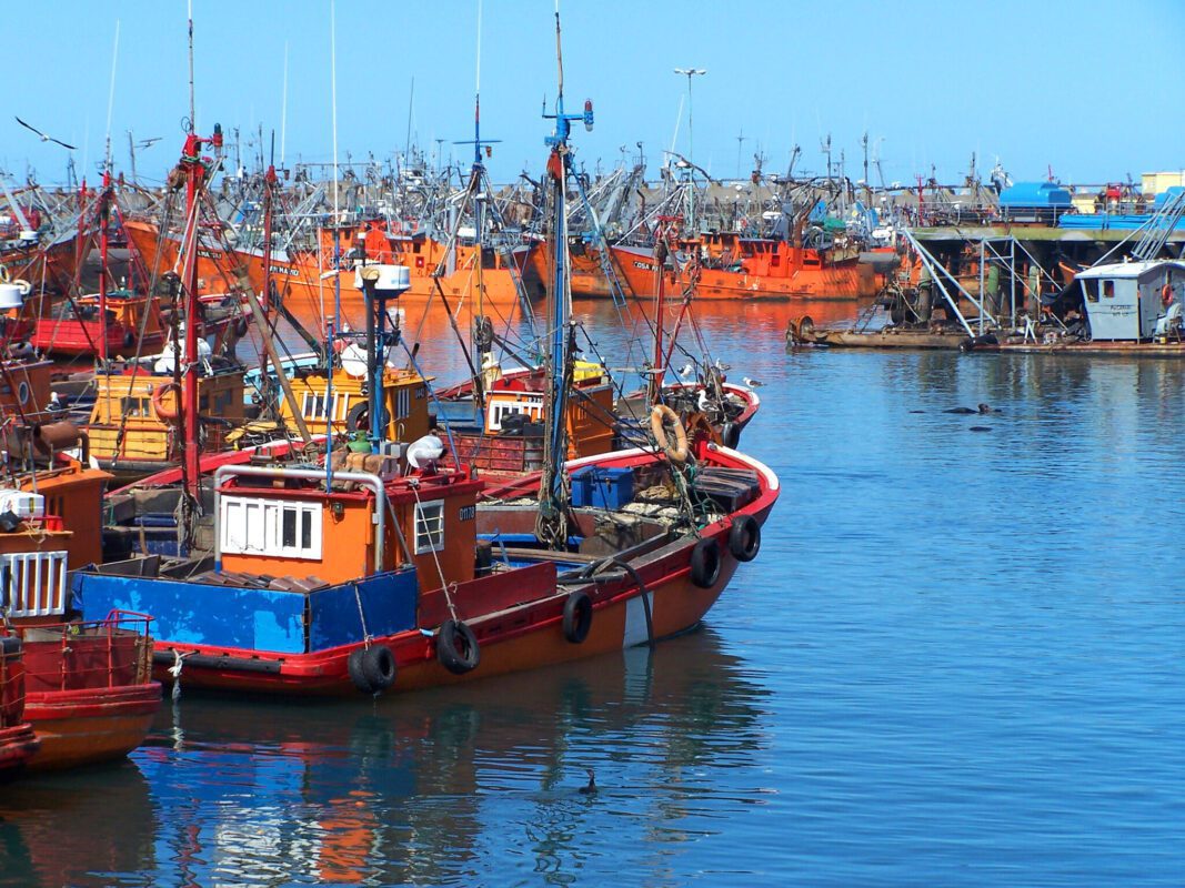 Puerto | Mar del Plata