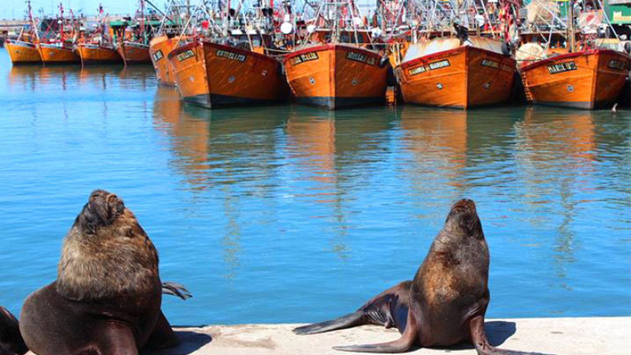 Reserva de Lobos Marinos - Mar del Plata