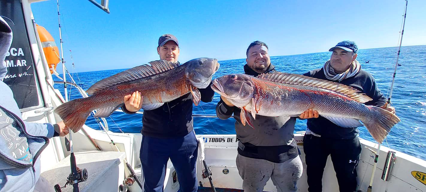 Pesca embarcado | Mar del Plata